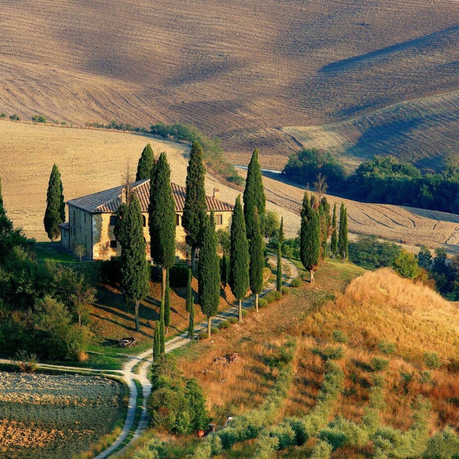 Alexander Herrmann: Rinder­tatar mit Sechs-Minuten-Mayon­naise — CRESCENDO