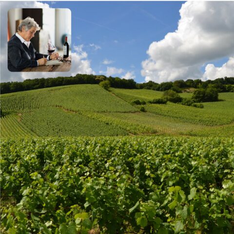 Alexander Herrmann: Rinder­tatar mit Sechs-Minuten-Mayon­naise — CRESCENDO