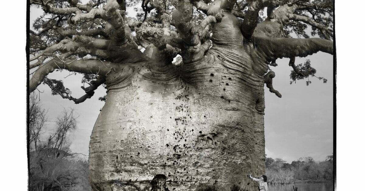 Beth Moon: Von Kraft und Verfall — CRESCENDO