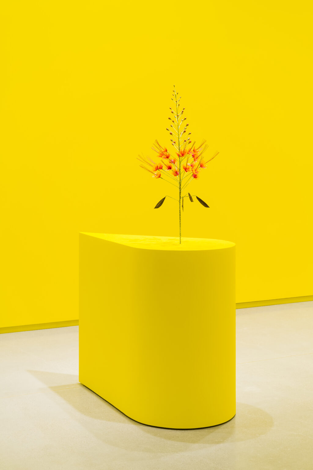 Alexander Herrmann: Rinder­tatar mit Sechs-Minuten-Mayon­naise — CRESCENDO