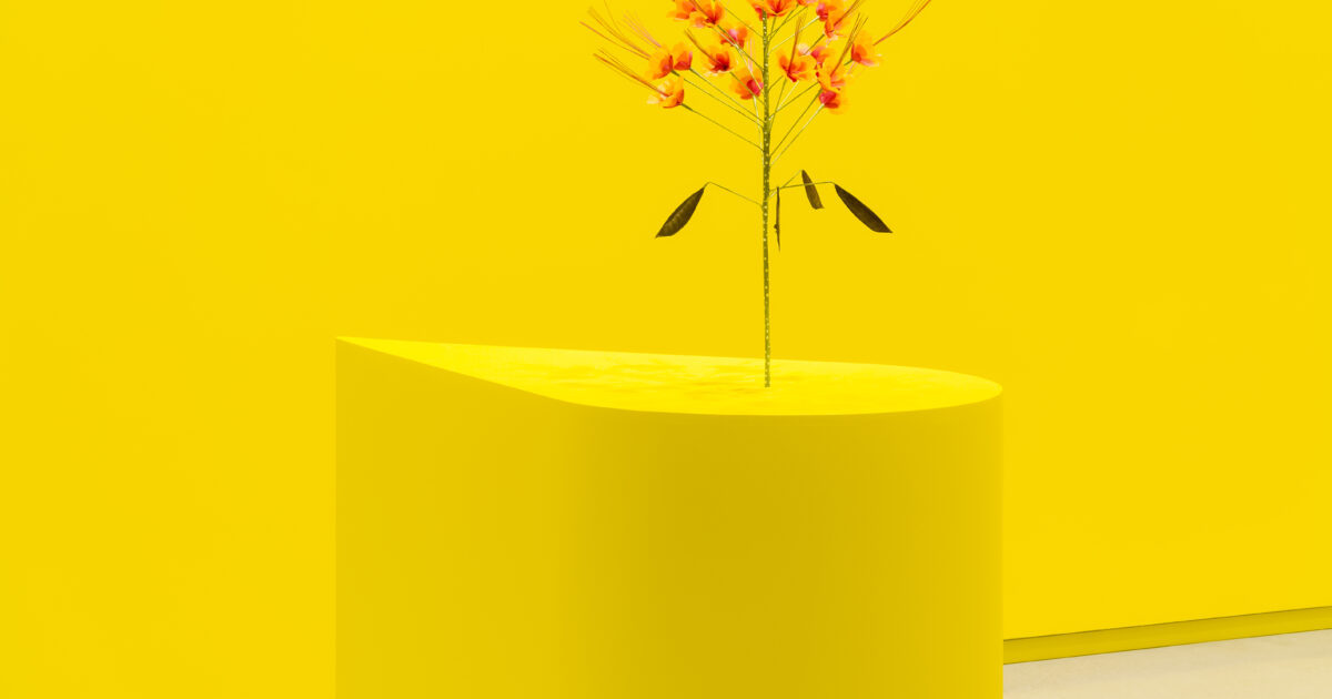 Kunstmuseum Wolfsburg: Die Länge des Hori­zonts — CRESCENDO